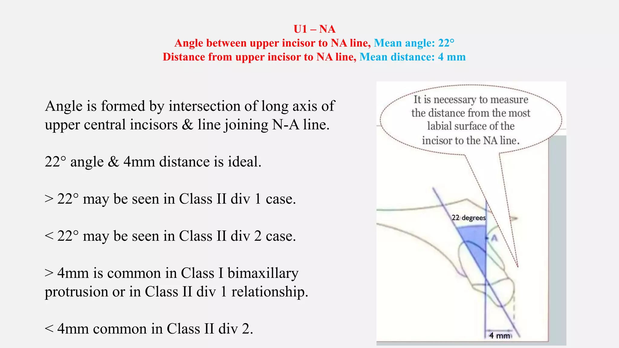 Steiner analysis in orthodontics (Nay Aung, PhD).pdf