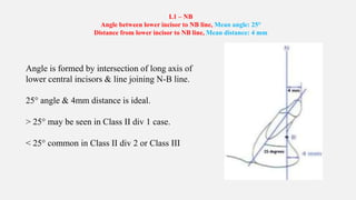 Steiner analysis in orthodontics (Nay Aung, PhD).pdf