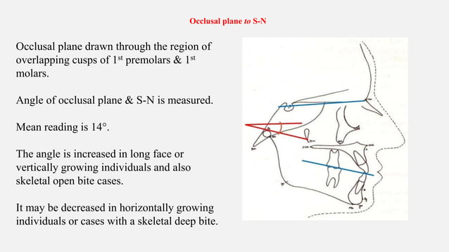 Steiner analysis in orthodontics (Nay Aung, PhD).pdf