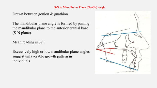 Steiner analysis in orthodontics (Nay Aung, PhD).pdf
