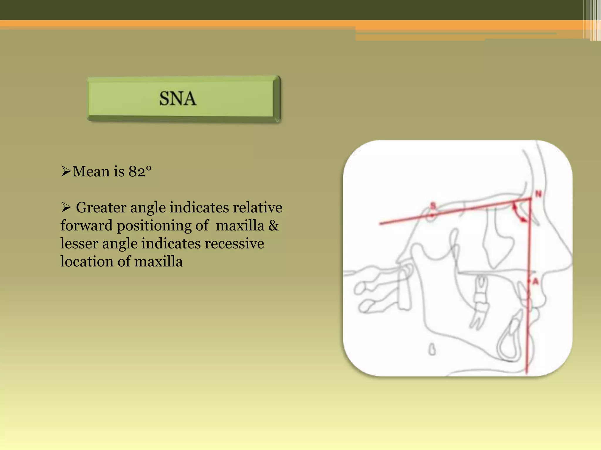 STEINERS ANALYSIS : CEPHALOMETRICS | PPTX