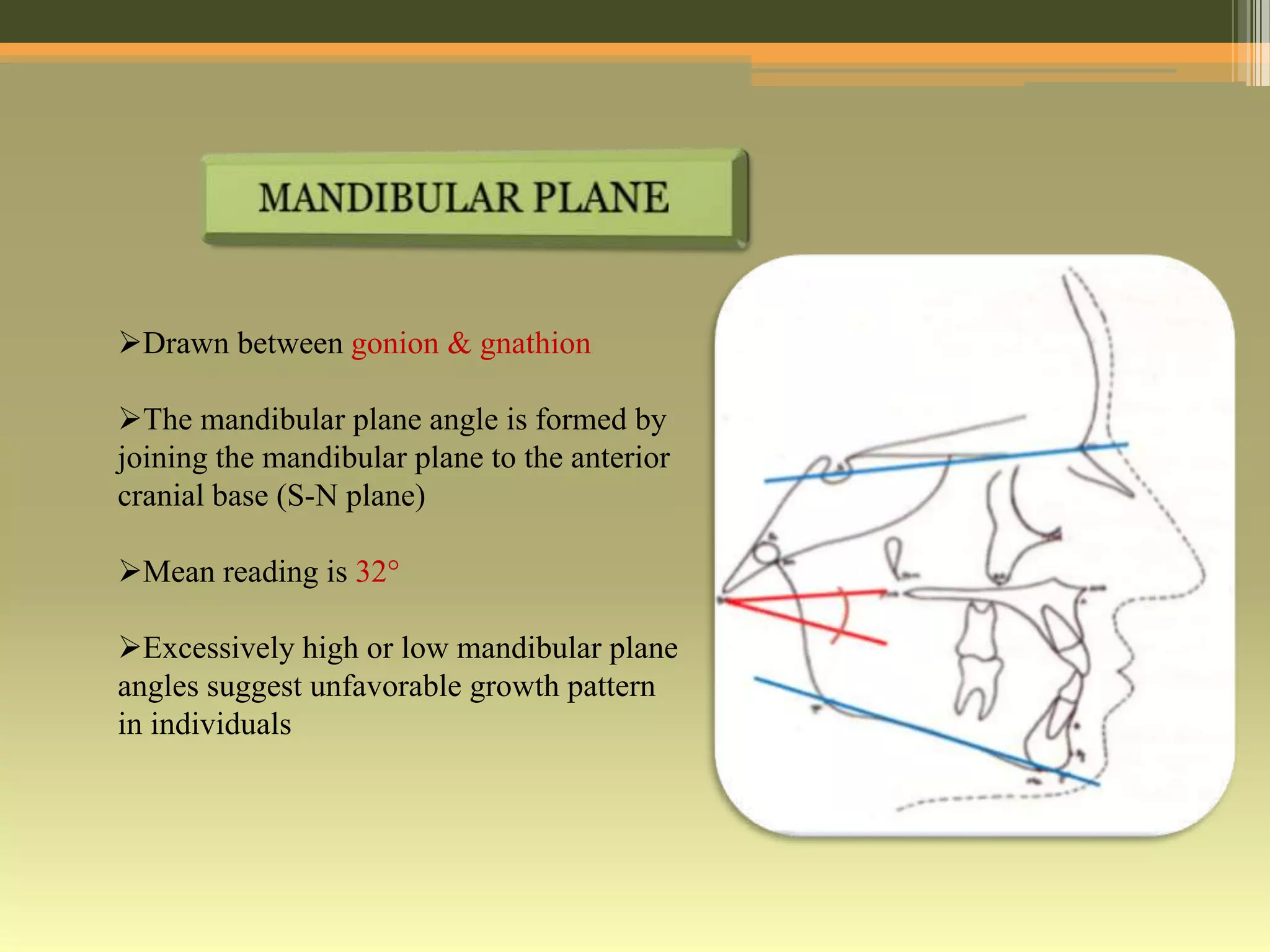 STEINERS ANALYSIS : CEPHALOMETRICS | PPTX