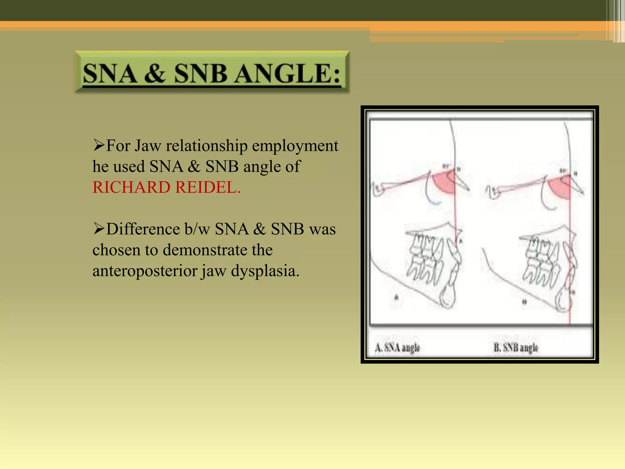 STEINERS ANALYSIS : CEPHALOMETRICS | PPTX