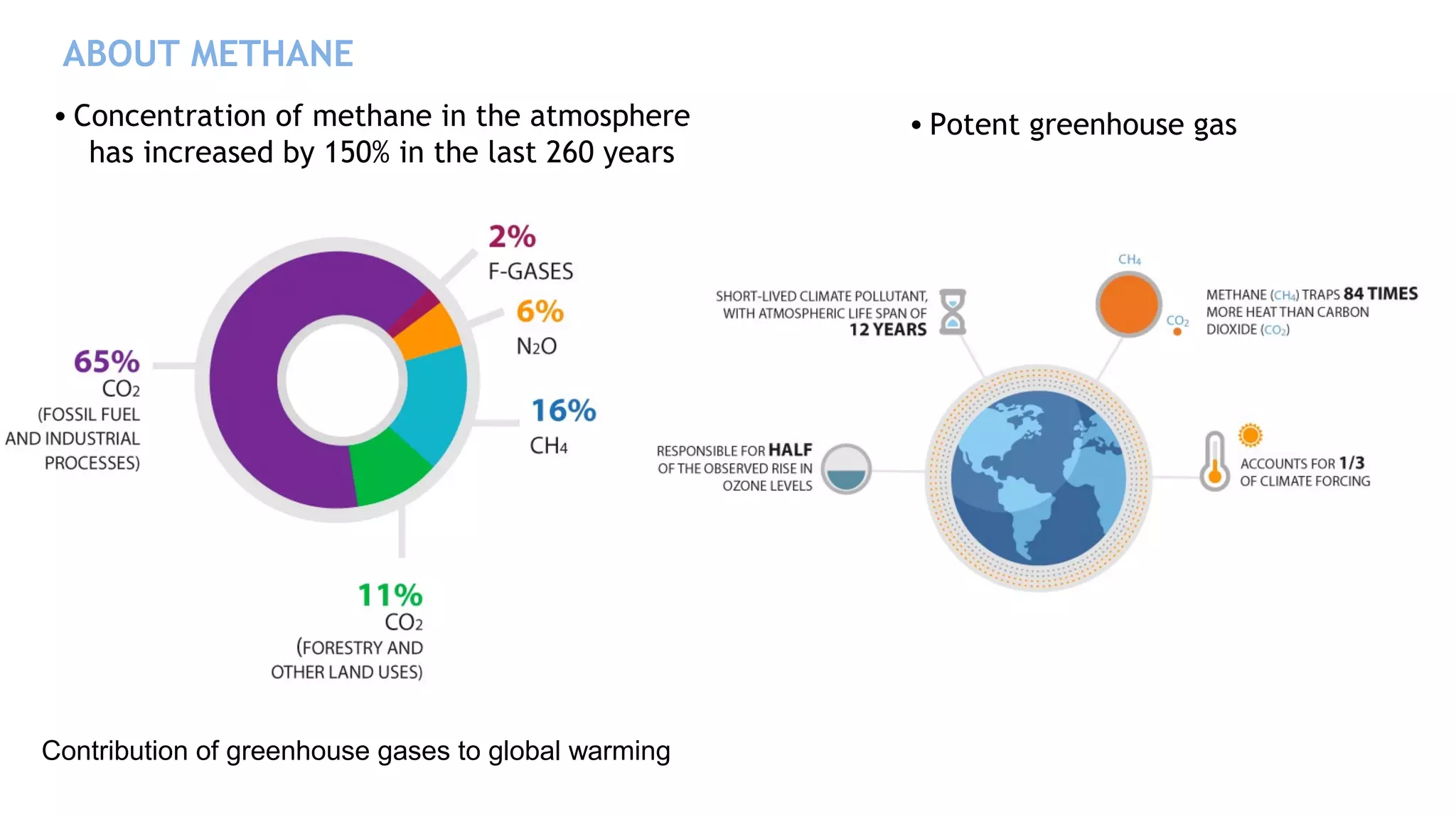 Mitigation of enteric methane emissions from ruminant animals | PPT