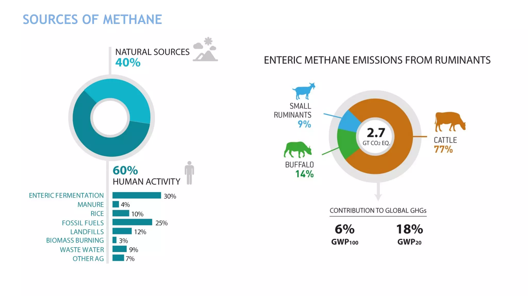 Mitigation of enteric methane emissions from ruminant animals | PPT
