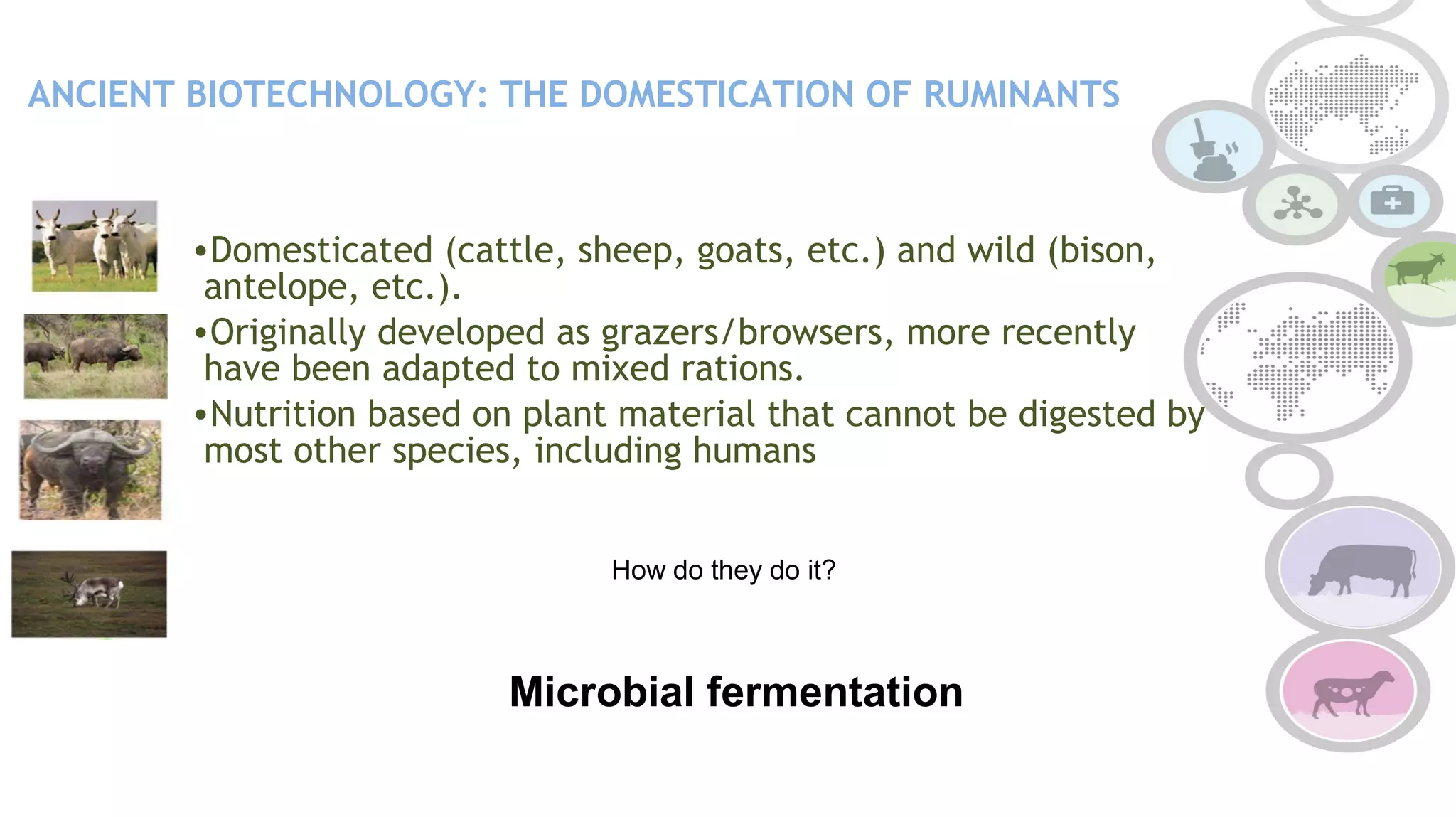 Mitigation of enteric methane emissions from ruminant animals | PPT