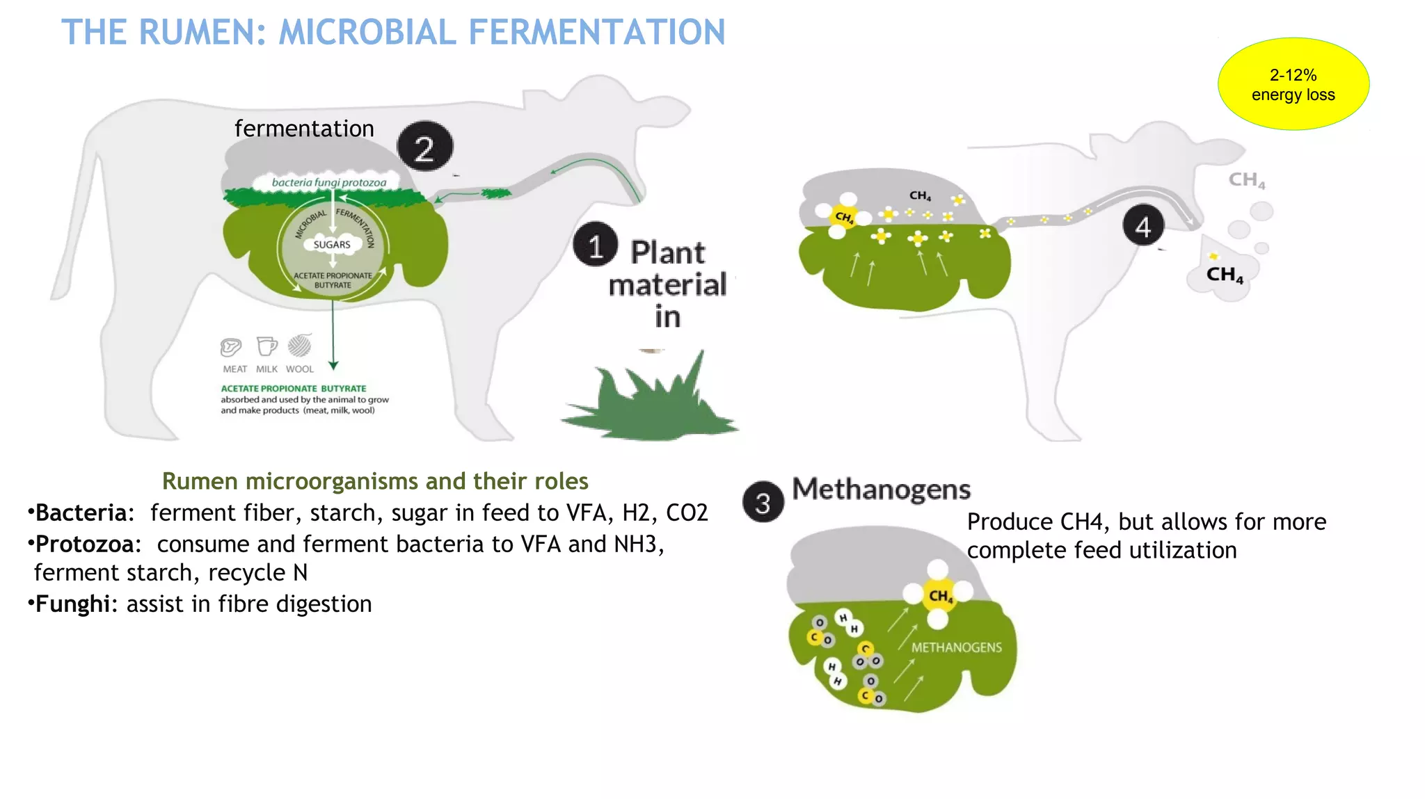 Mitigation of enteric methane emissions from ruminant animals | PPT