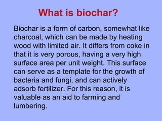 Stein Presentation Biochar | PPT