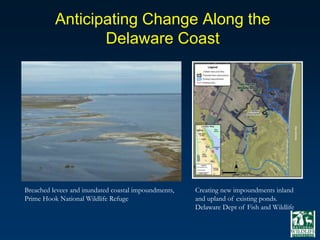 Stein state wildlife conference nctc | PPT