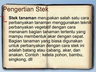 Kelompok Stek | PPTX