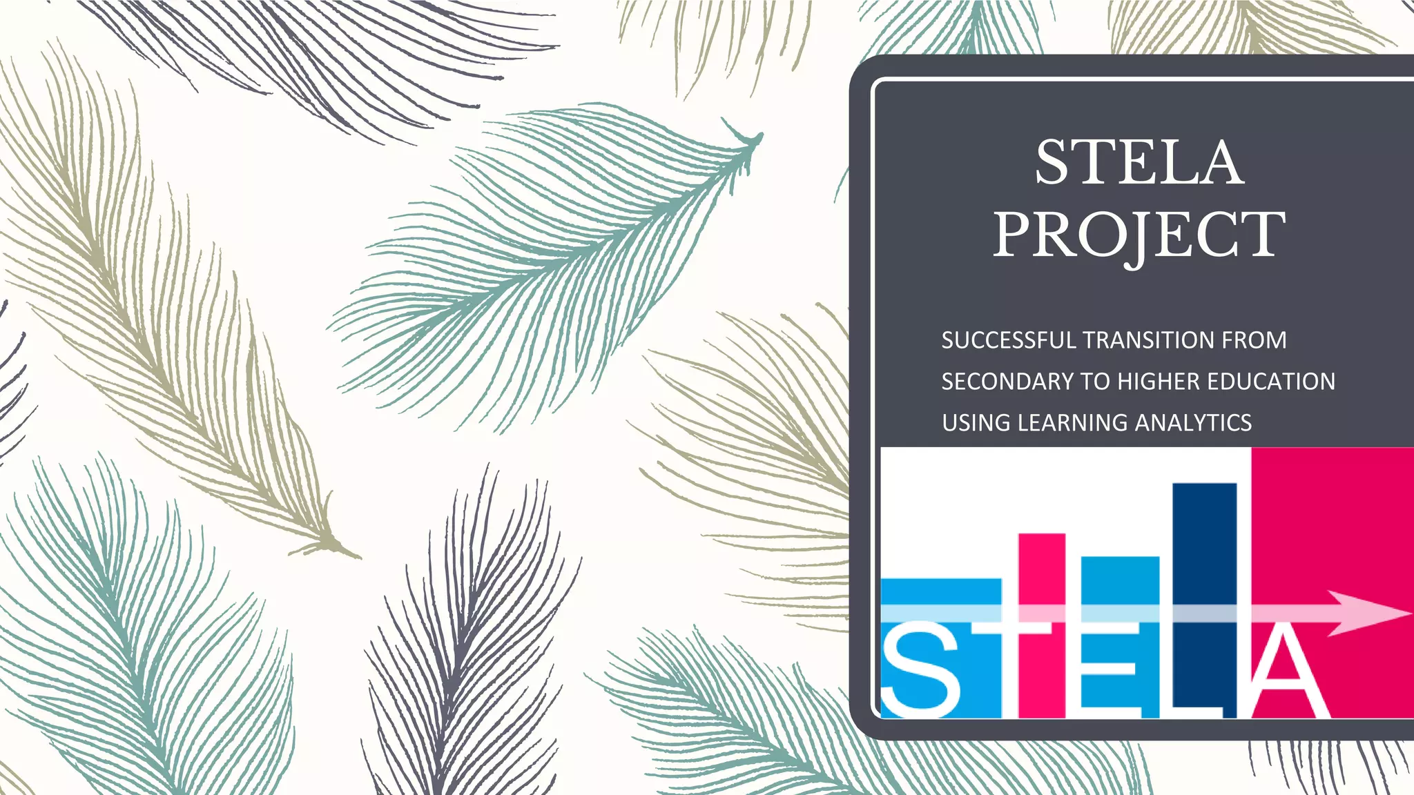 Stela project | PPT