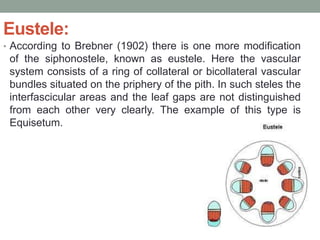 Stelarevolution 120401081016-phpapp02 | PPTX