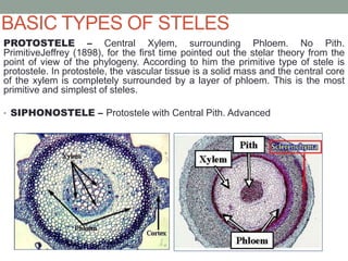 Stelarevolution 120401081016-phpapp02 | PPTX