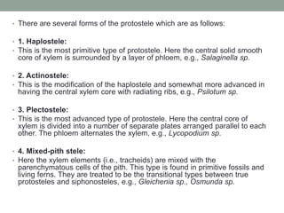 Stelarevolution 120401081016-phpapp02 | PPTX
