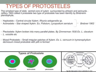 Stelarevolution 120401081016-phpapp02 | PPTX