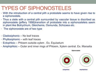 Stelarevolution 120401081016-phpapp02 | PPTX