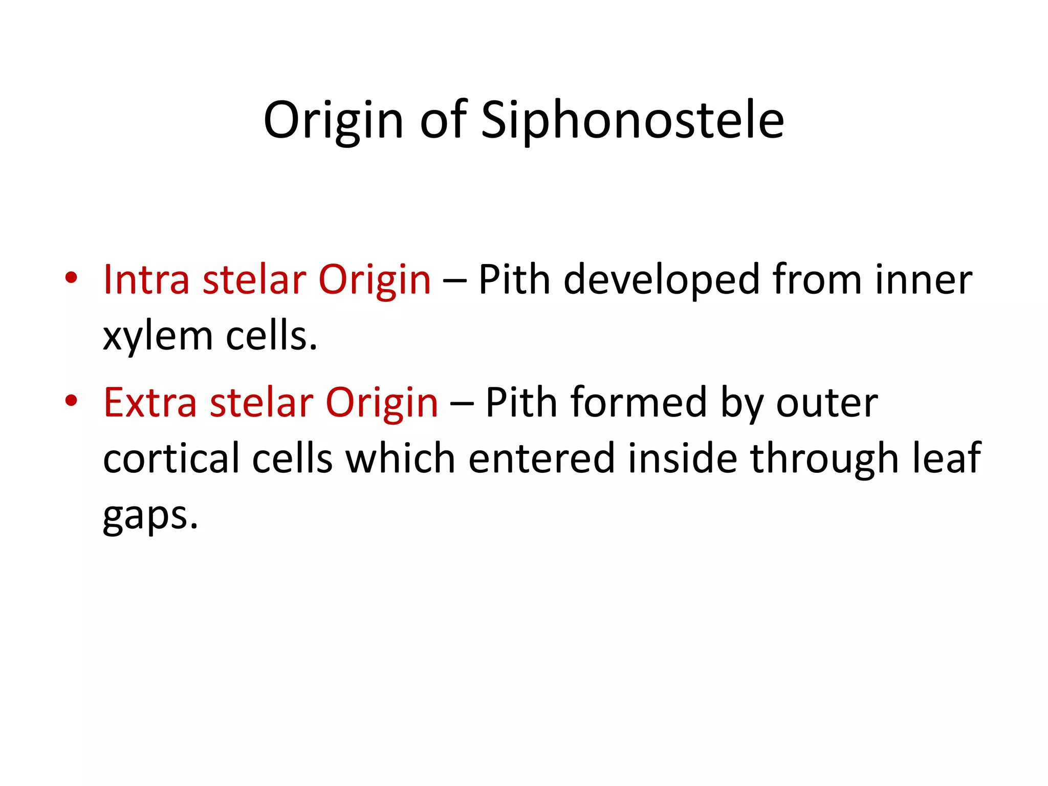 Stelar evolution in Pteridophytes | PPTX