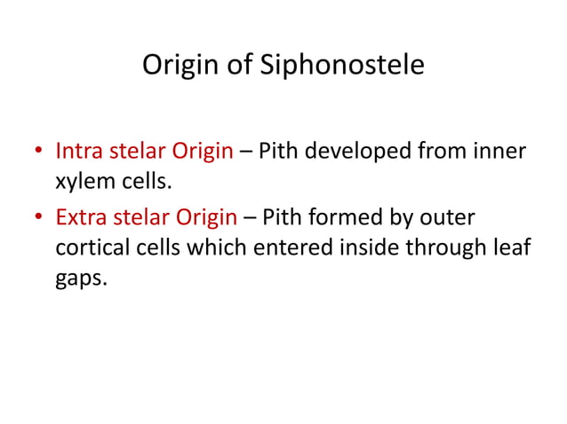 Stelar evolution in Pteridophytes | PPTX | Gardening | Home & Garden