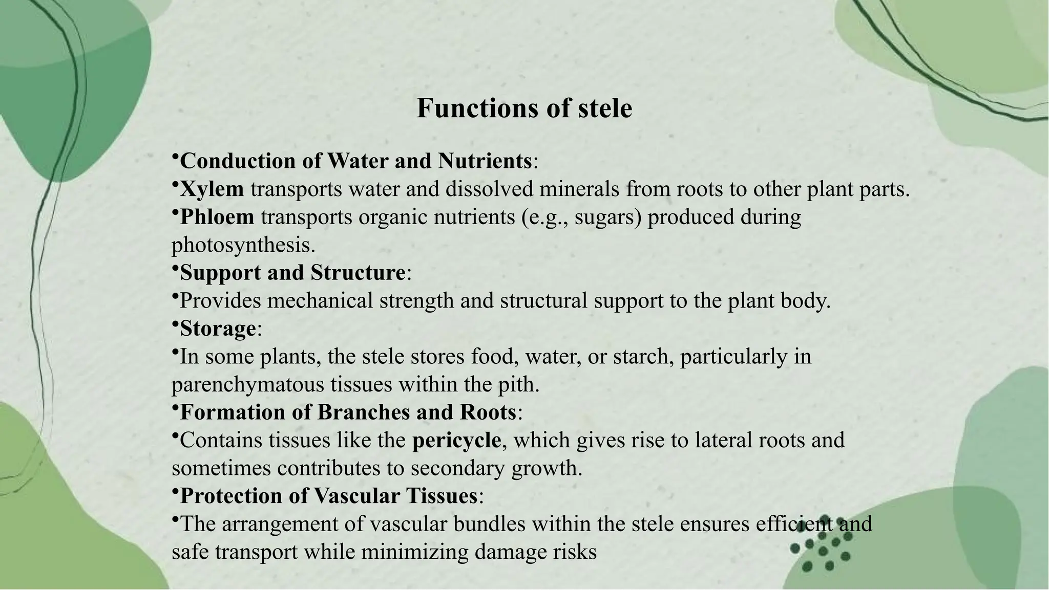 Stellar Evolution of pteridophytes for Bachelors students.pptx