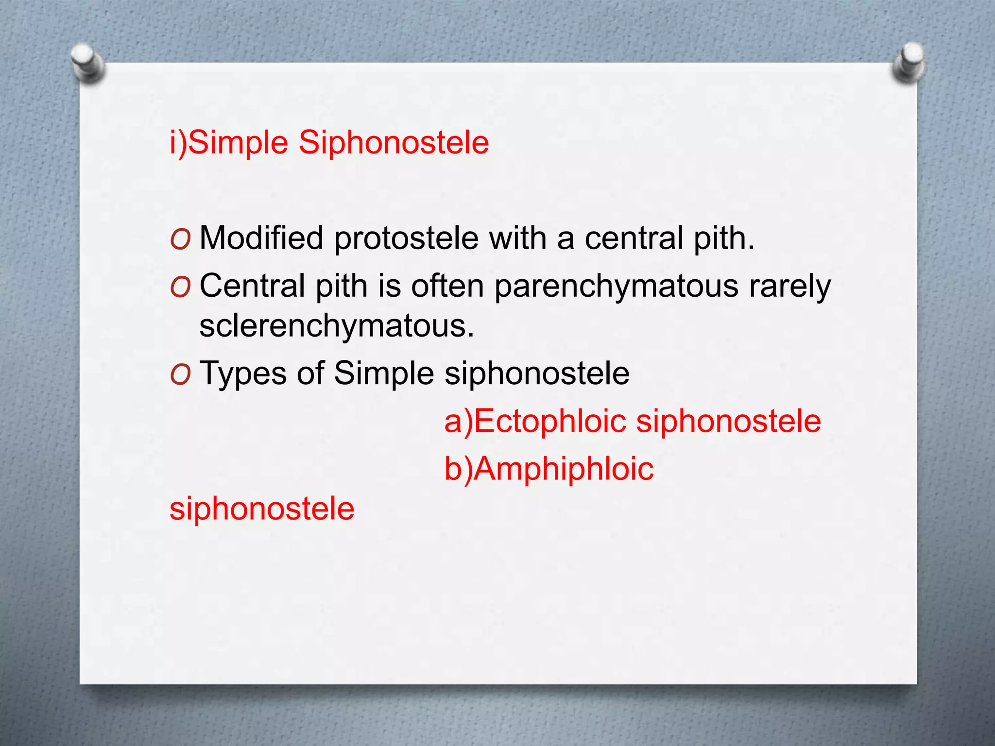 Stelar evolution in Pteridophytes-BOTANY | PPTX