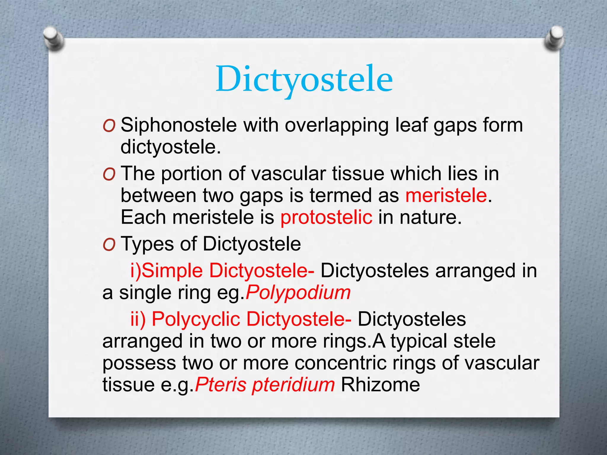 Stelar evolution in Pteridophytes-BOTANY | PPTX