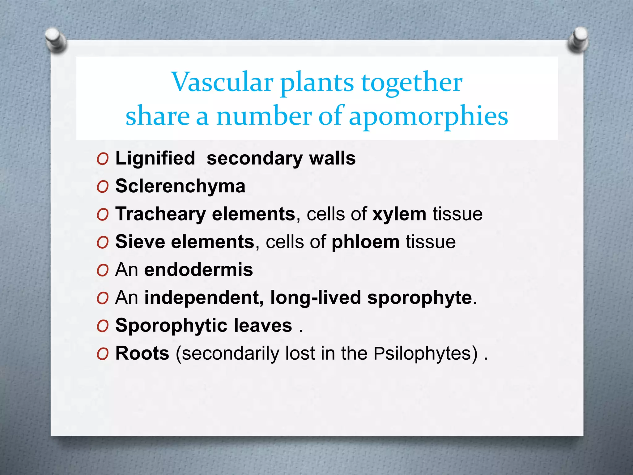 Stelar evolution in Pteridophytes-BOTANY | PPTX