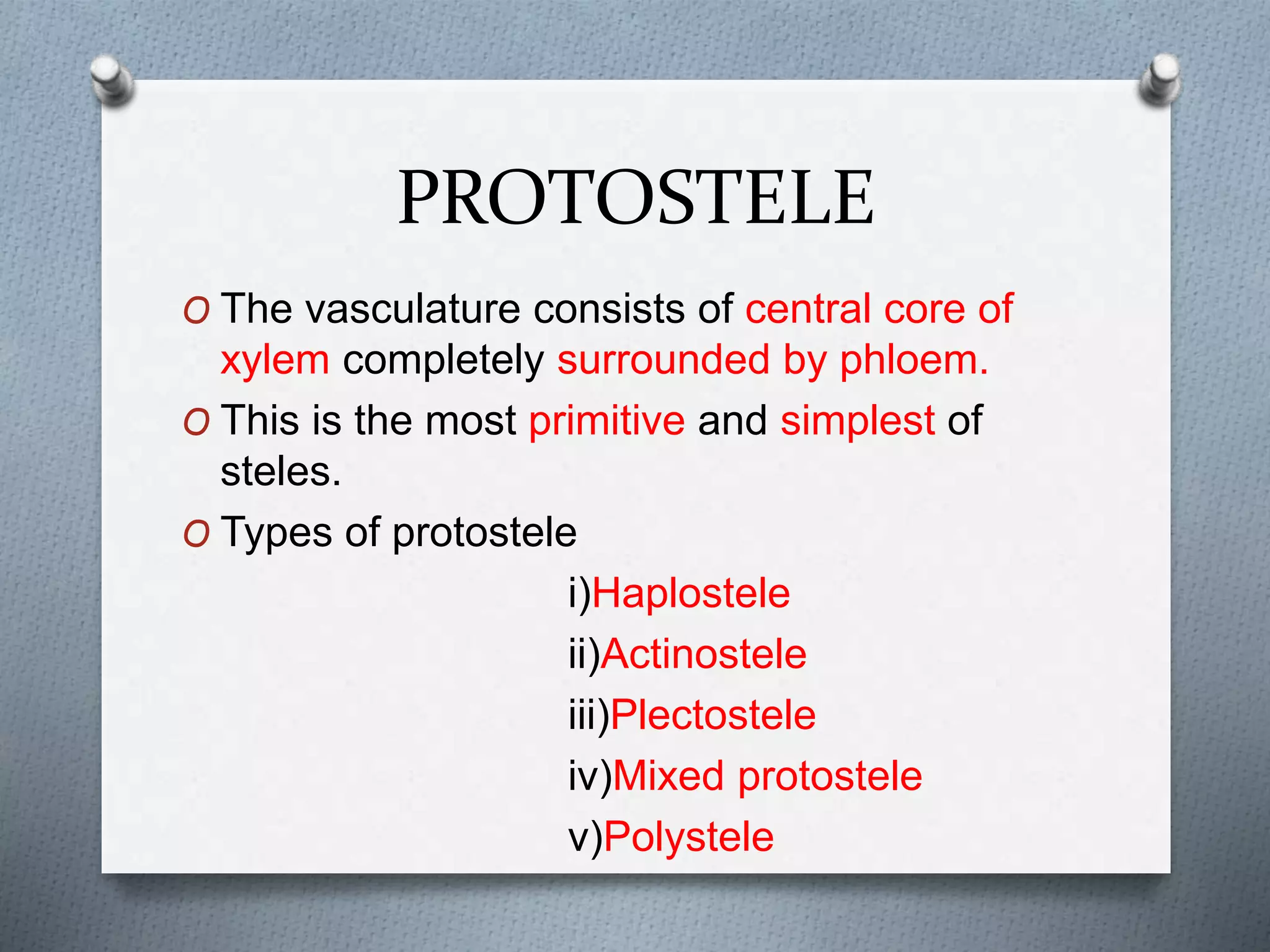 Stelar evolution in Pteridophytes-BOTANY | PPTX