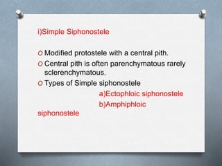 Stelar evolution in Pteridophytes-BOTANY | PPTX