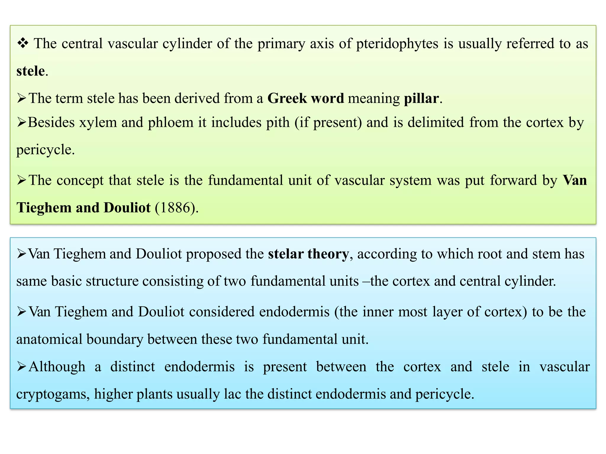 Stelar organization (1).pptx