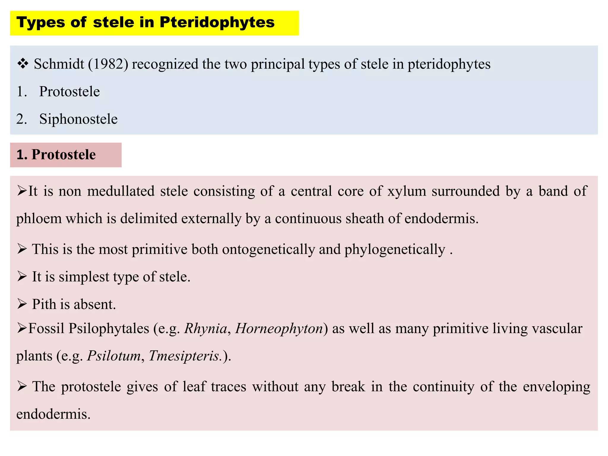 Stelar organization (1).pptx