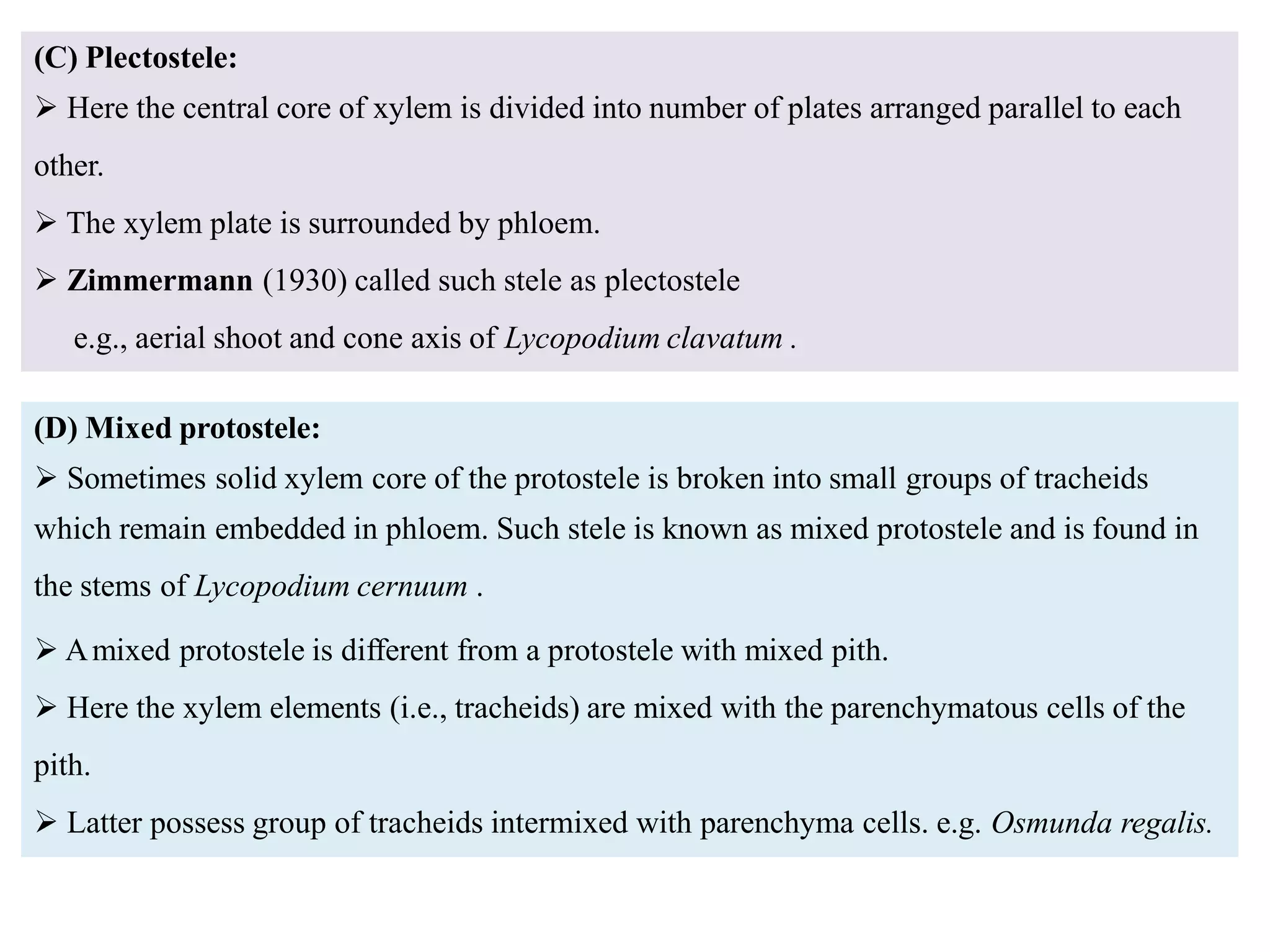 Stelar organization (1).pptx