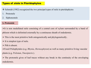 Stelar organization (1).pptx
