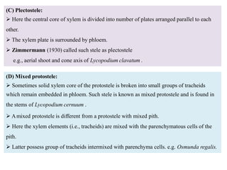 Stelar organization (1).pptx