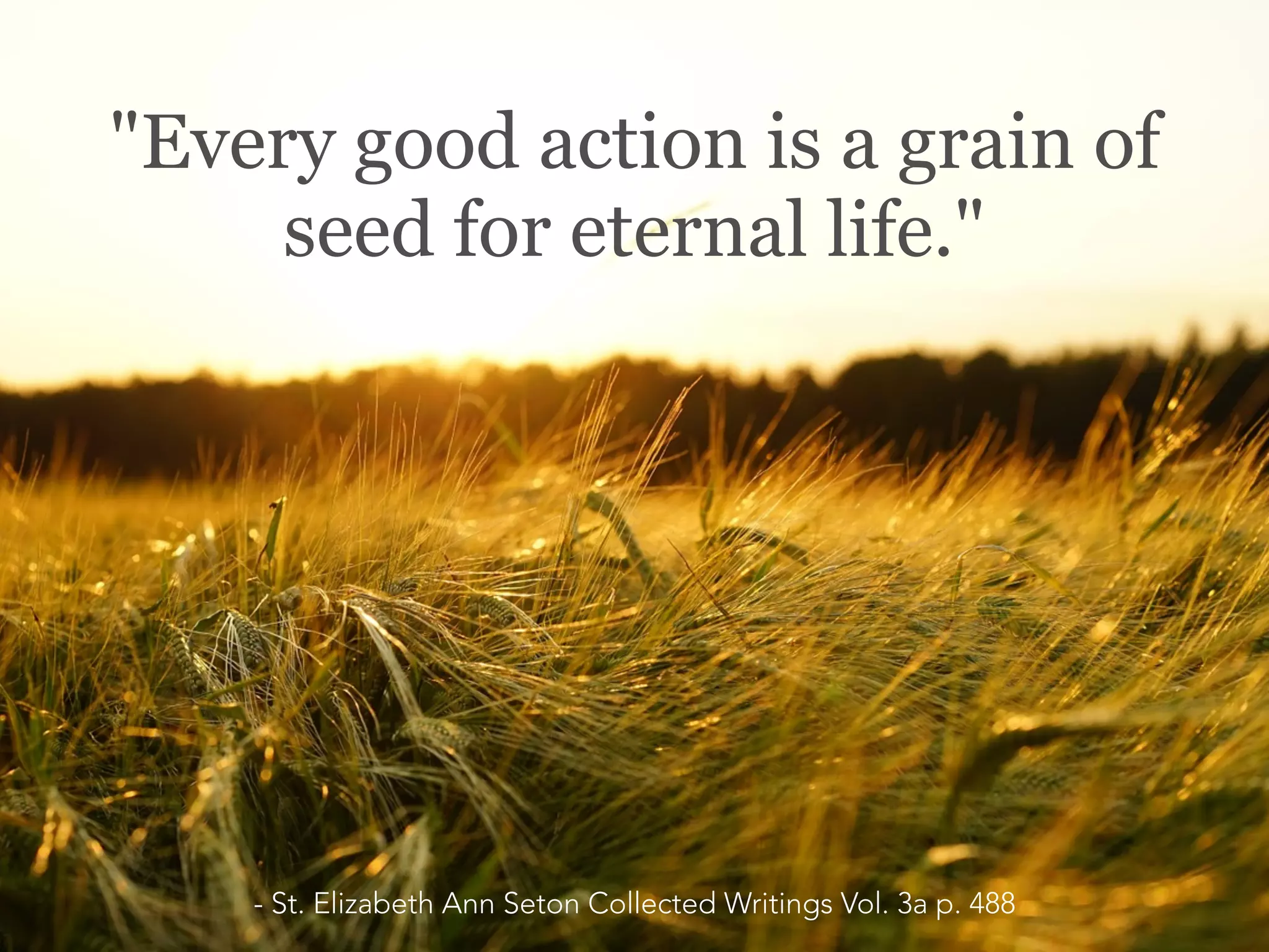 Quotes of St. Elizabeth Ann Seton | PDF
