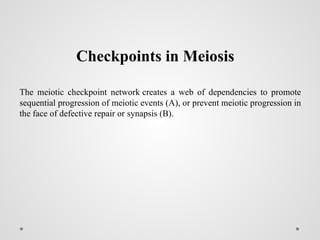 Meiosis and its phases along with checkpoint.pptx