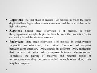 Meiosis and its phases along with checkpoint.pptx
