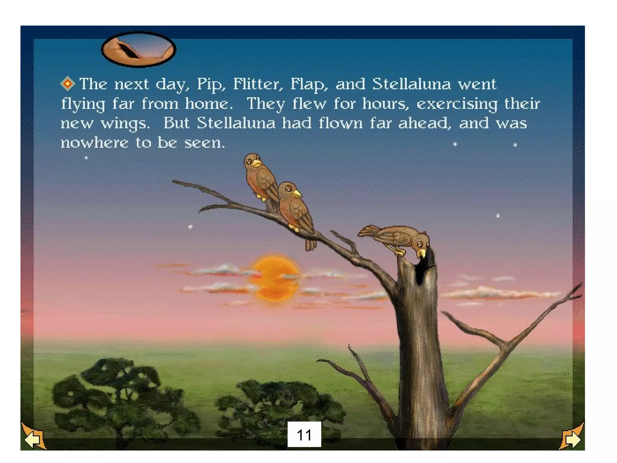 Stellaluna story | PPT