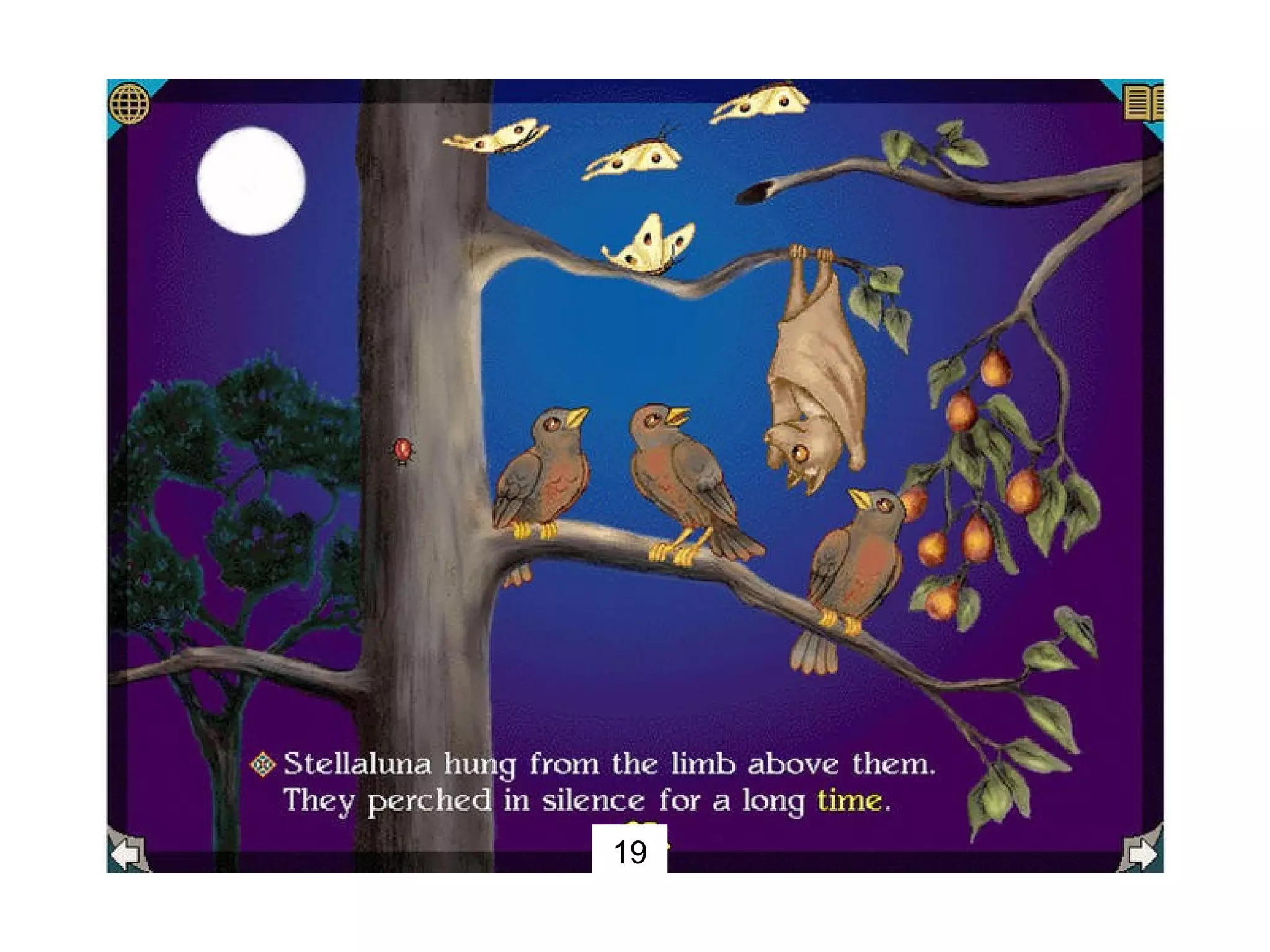 Stellaluna story | PPT