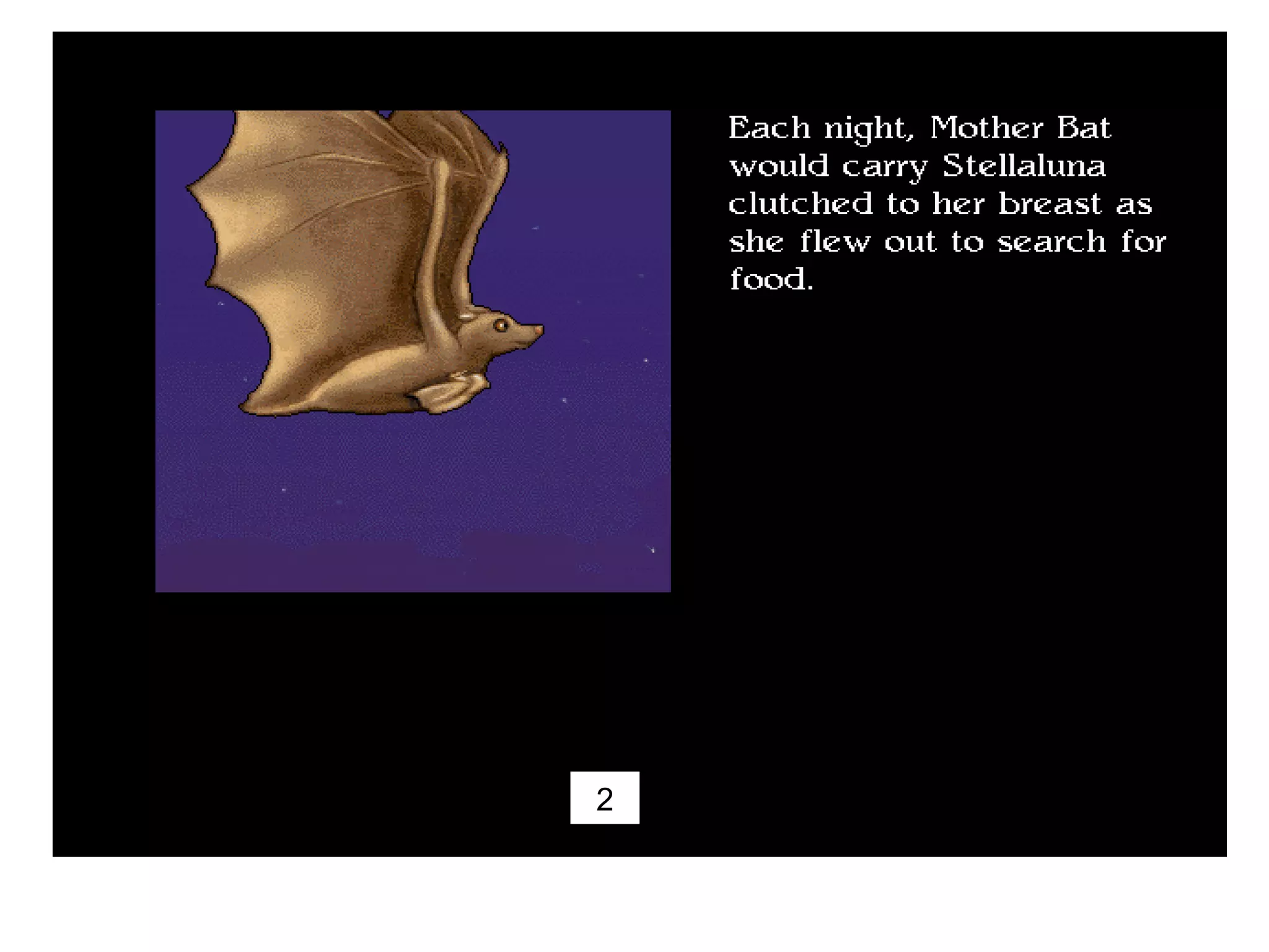 Stellaluna story | PPT