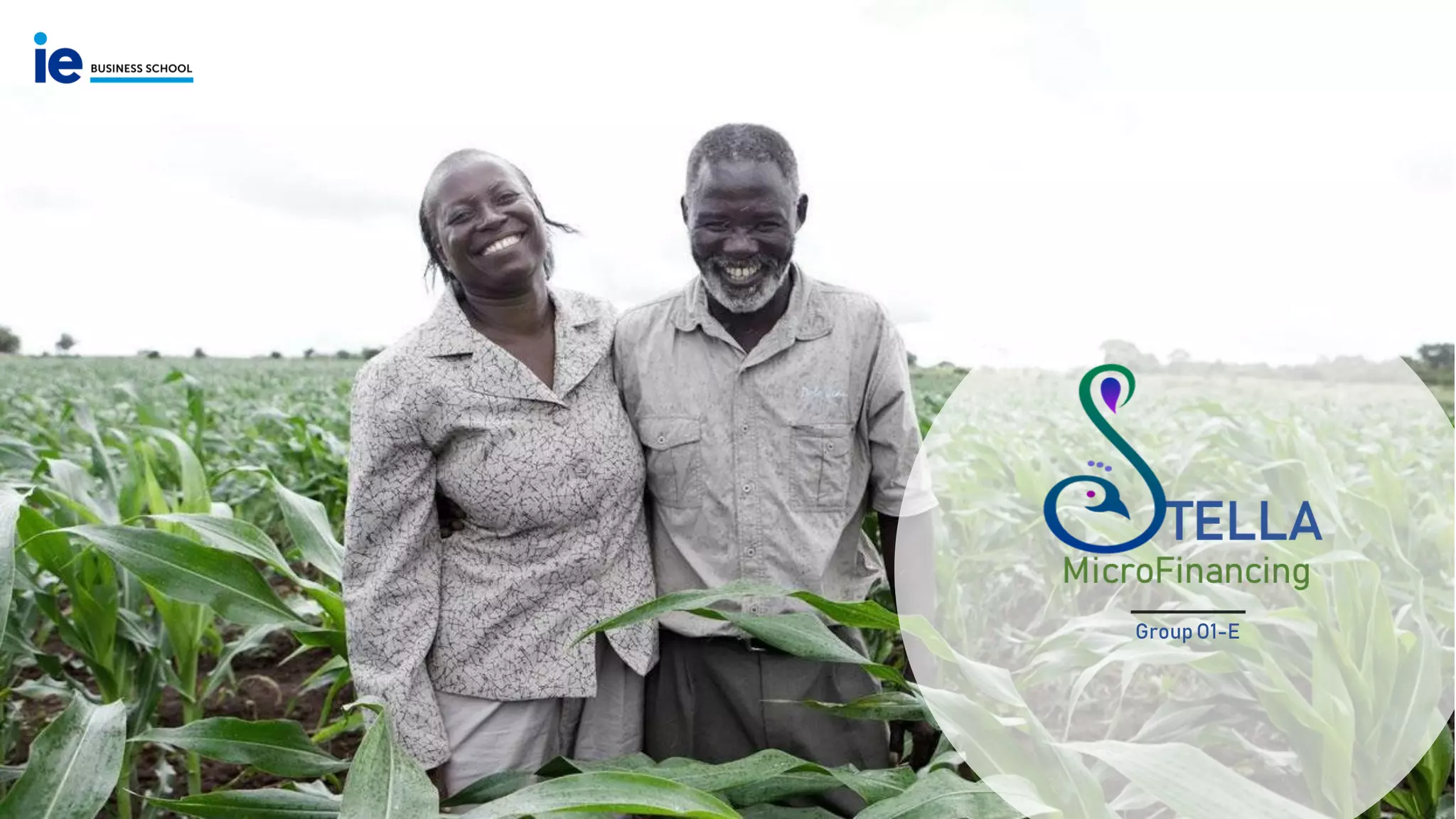 MicrofinanceChatbot - Stella | PPT