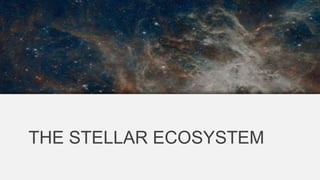 Stellar Protocol: What is Stellar and Why It Matters | PPT