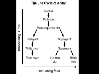 Stars - Stellar Evolution | PPT