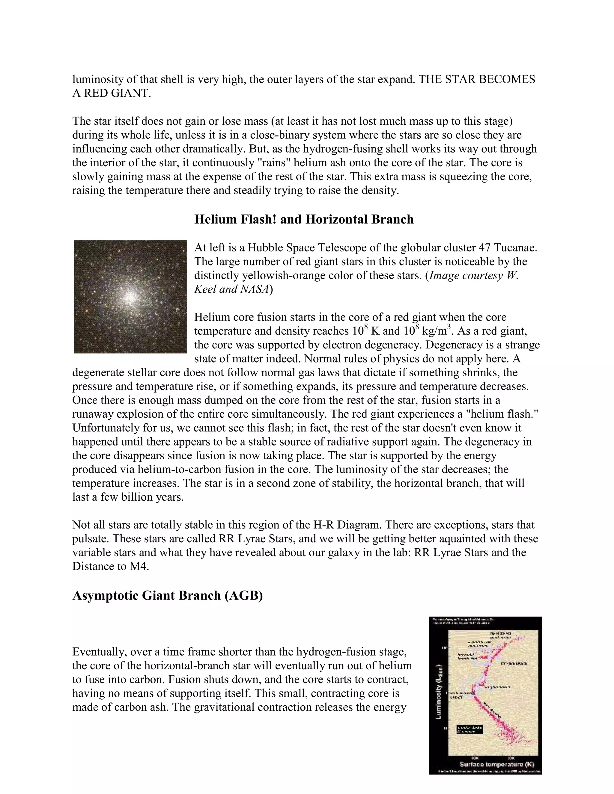 Stellar evolution by joey | DOCX