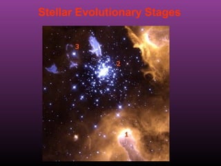 Stellar life cycle section 3 | PPT