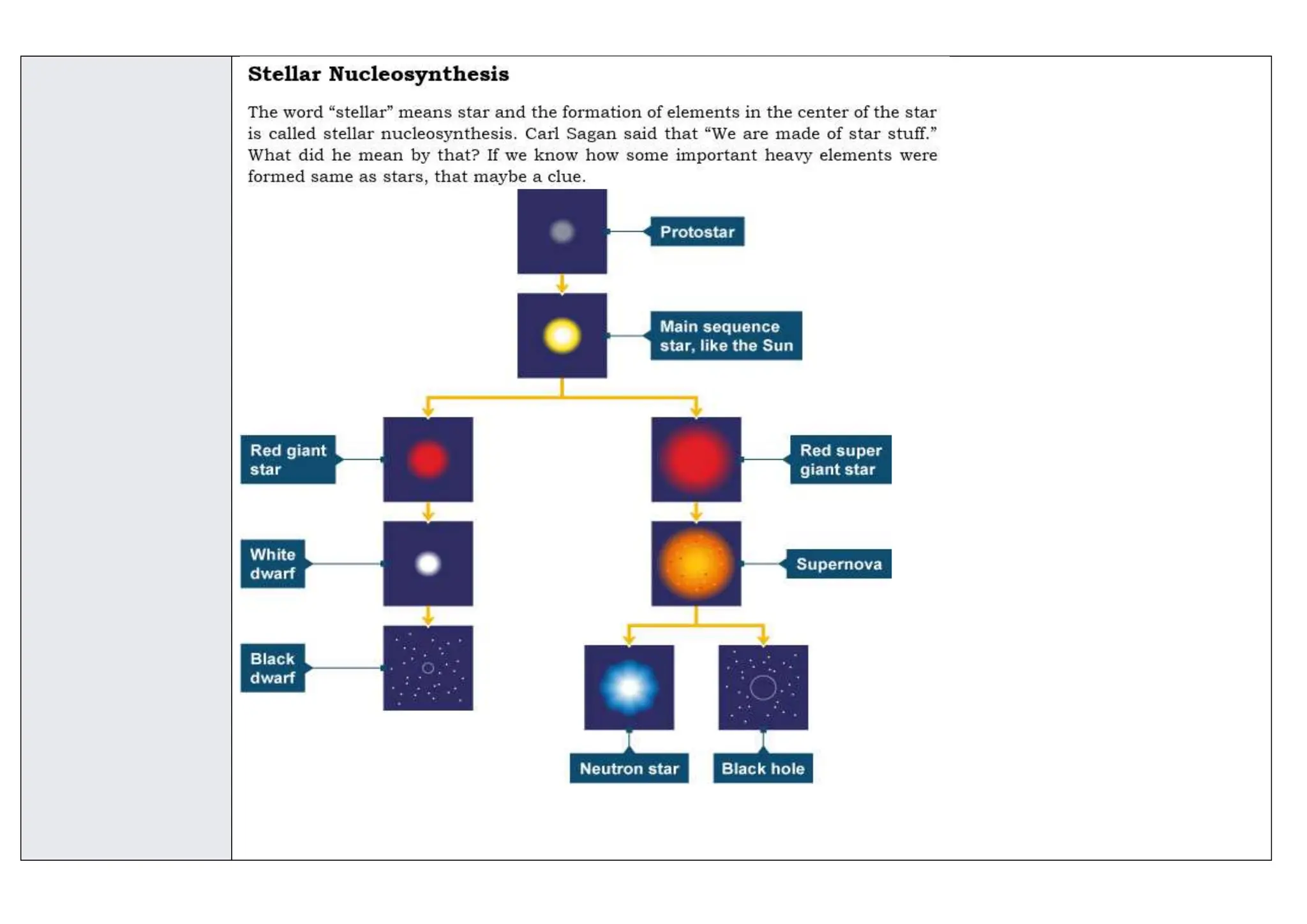 Stellar Nucleosynthesis687687658589.docx