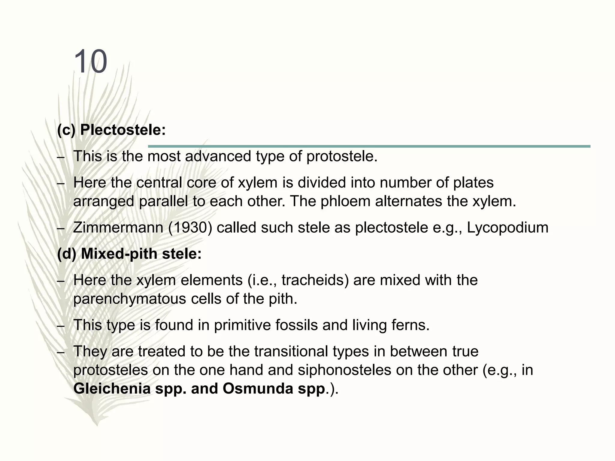 Stelar System, Stele, its types and evolution(edited) | PPT