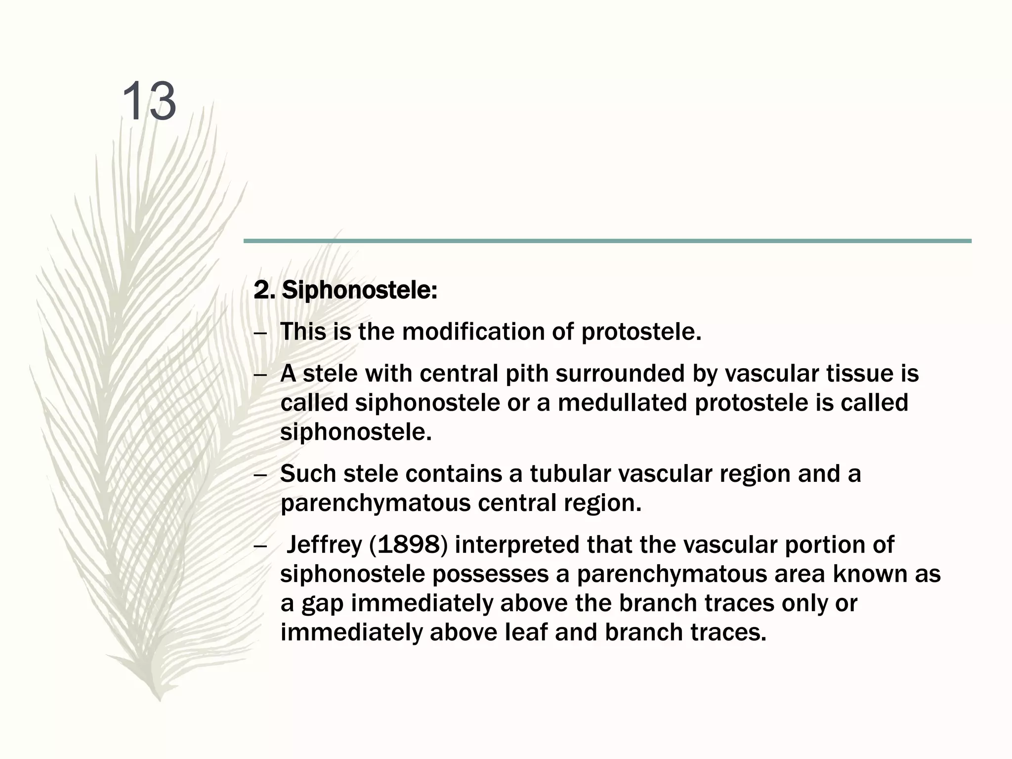 Stelar System, Stele, its types and evolution(edited) | PPT