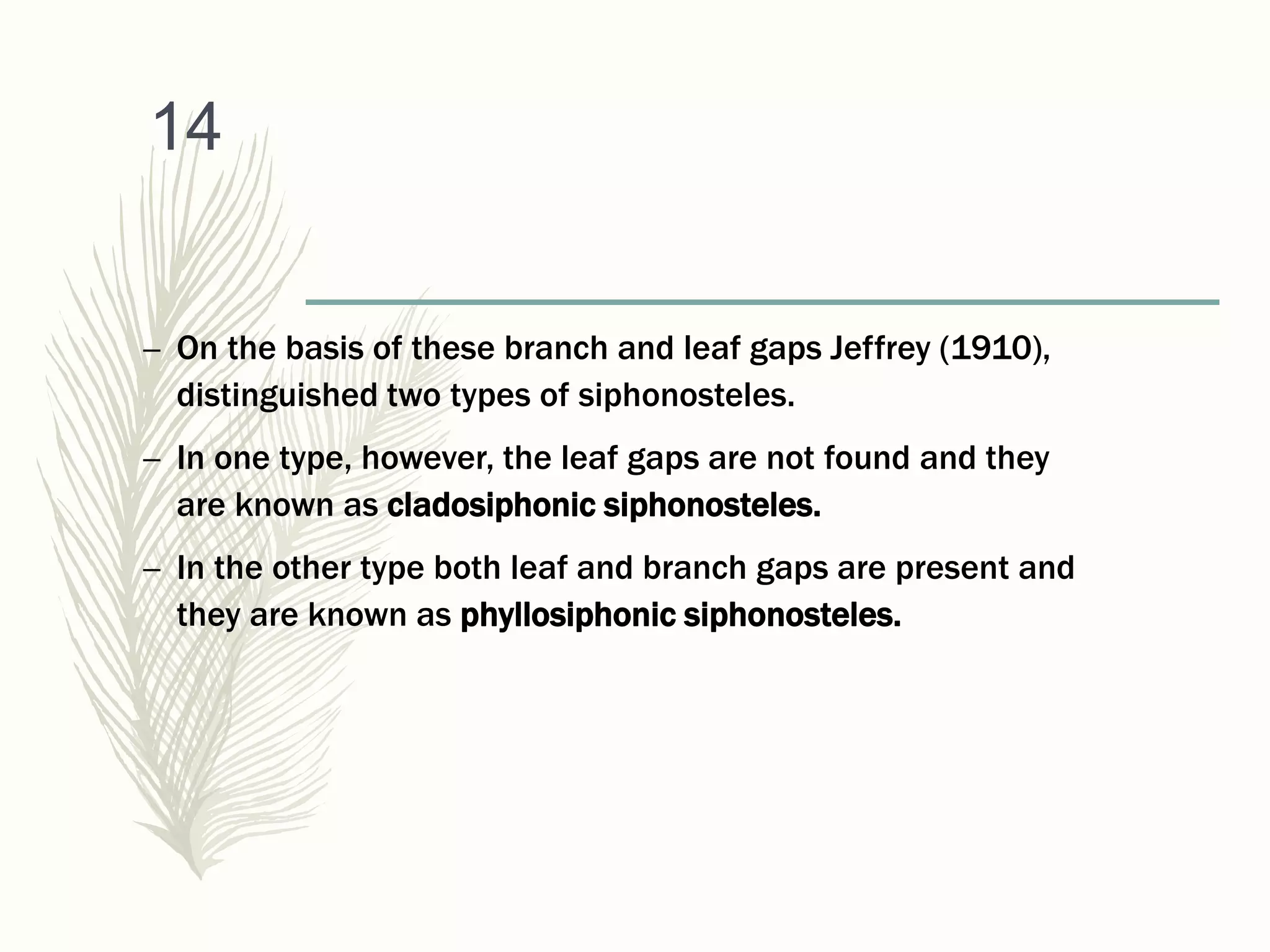 Stelar System, Stele, its types and evolution(edited) | PPTX