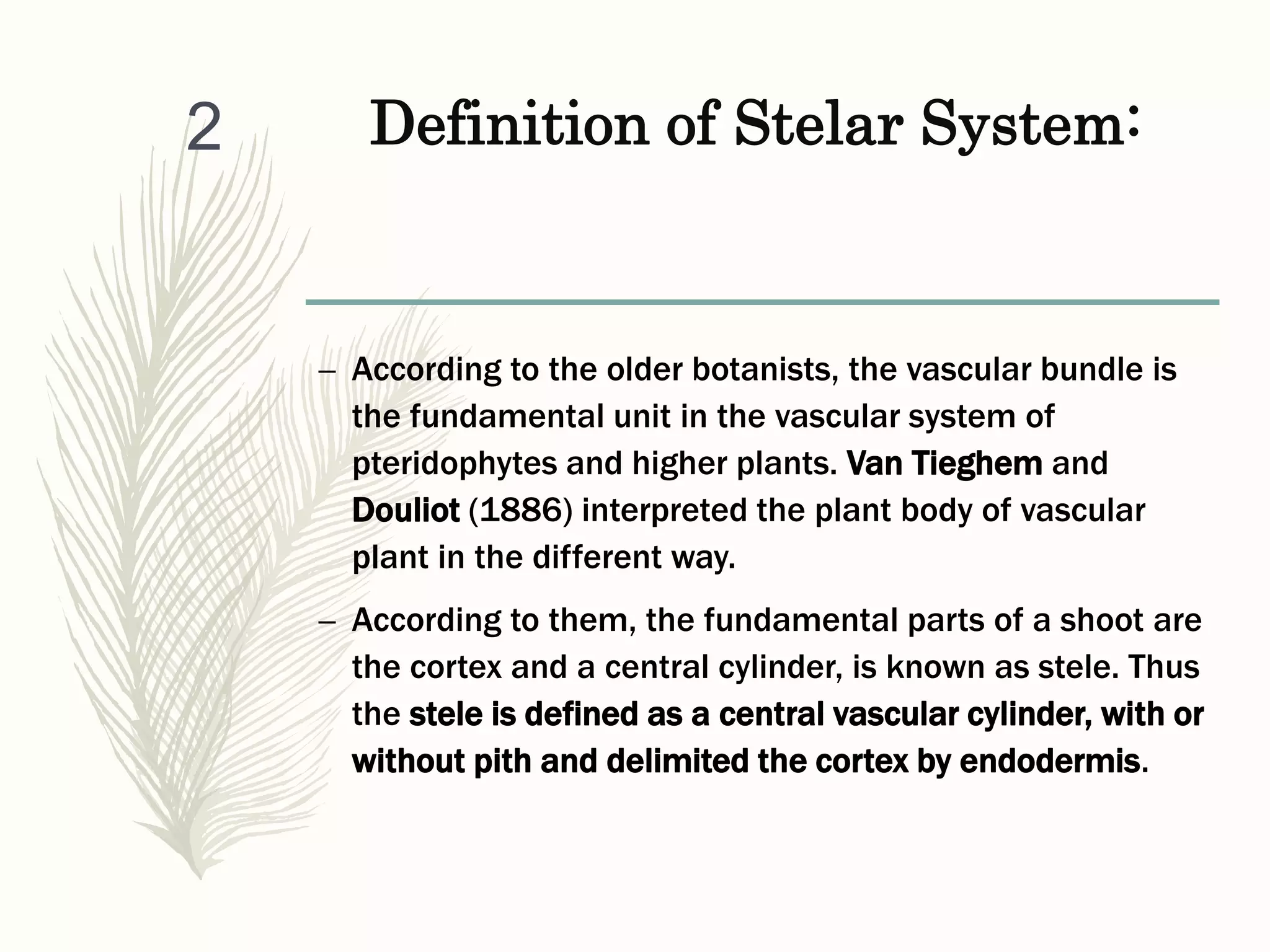 Stelar System, Stele, its types and evolution(edited) | PPT