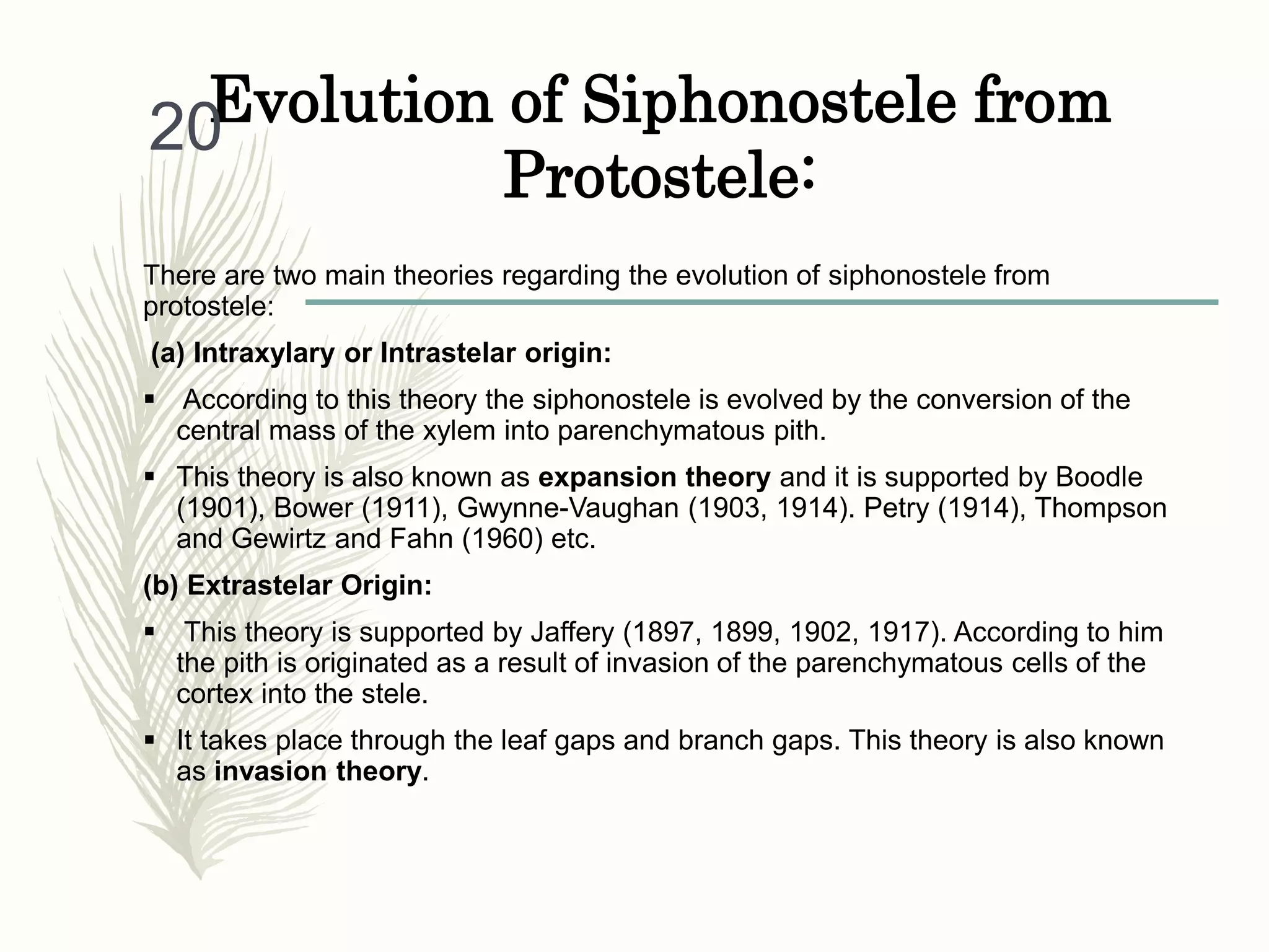Stelar System, Stele, its types and evolution(edited) | PPTX